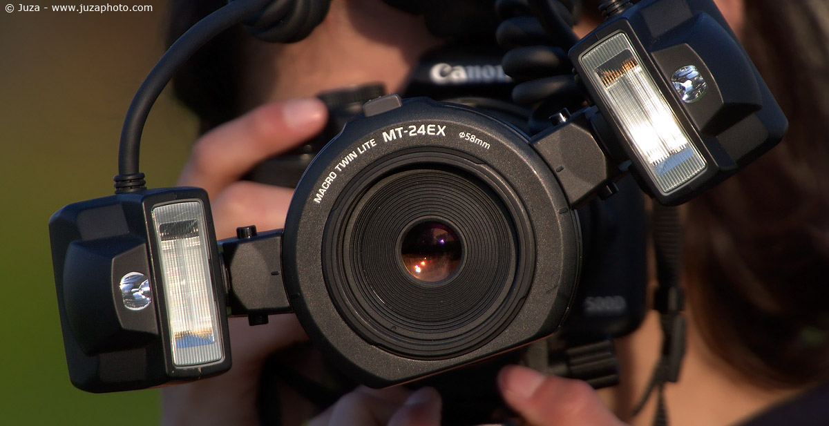 Canon 65mm F 2 8 Macro MP E 1x 5x JuzaPhoto